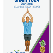 Chair Yoga DVD For Seniors | Grow Young Fitness Shop